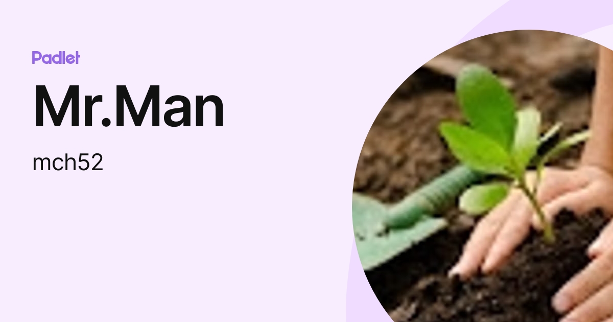 Mr.Man (mch52) profile | Padlet