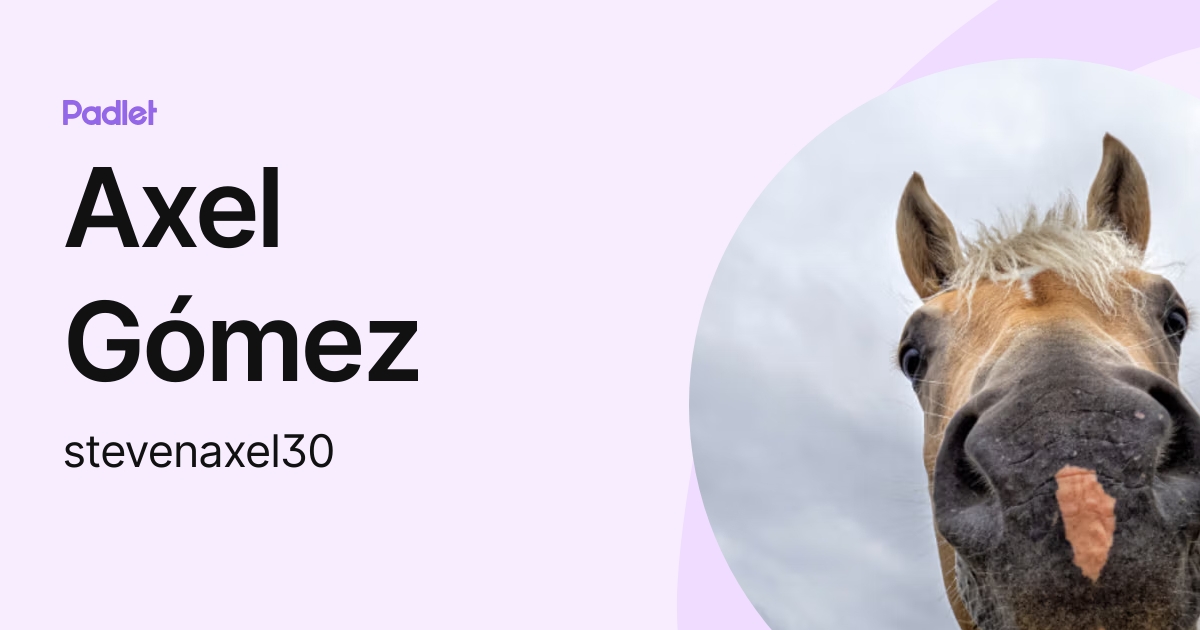 Axel Gómez (stevenaxel30) profile | Padlet