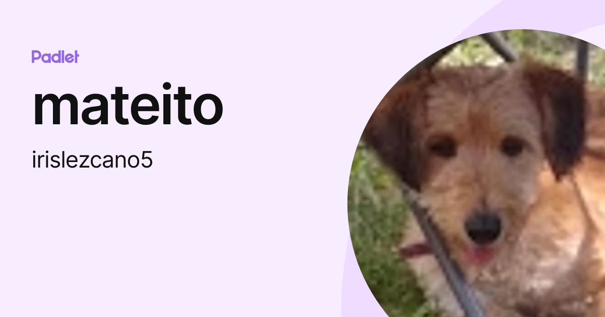 mateito (irislezcano5) profile | Padlet