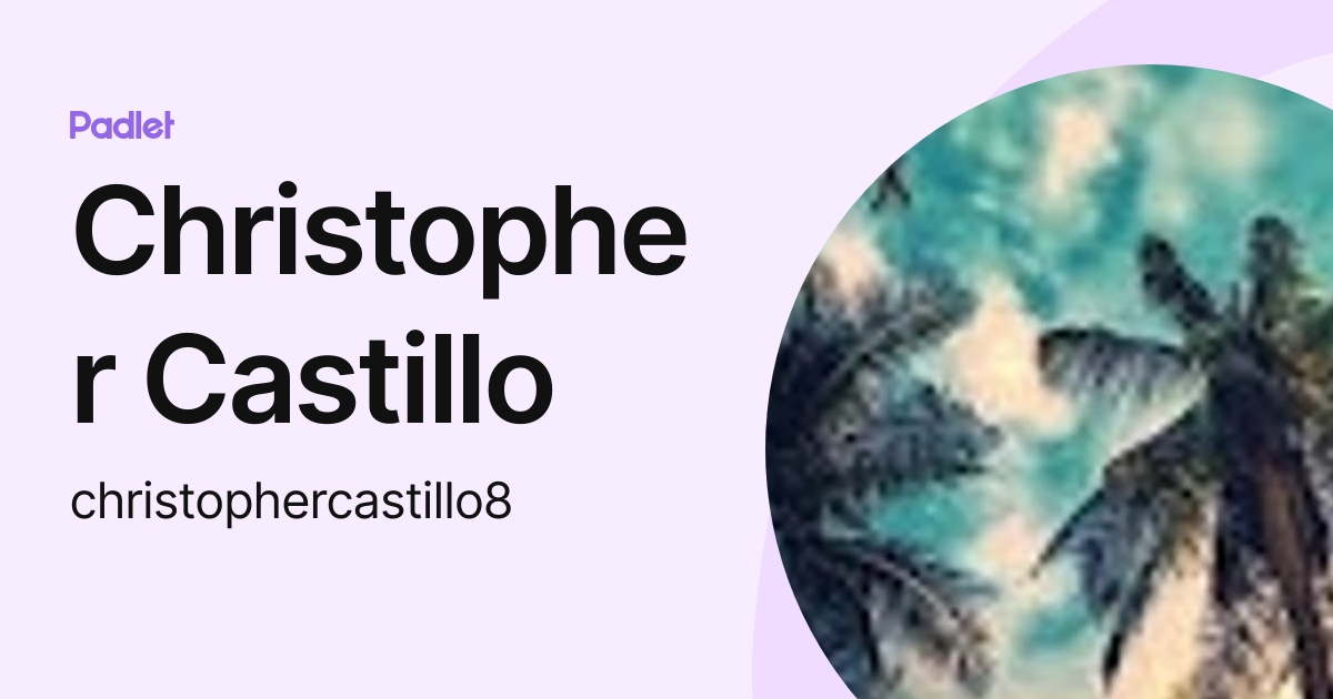 Christopher Castillo (christophercastillo8) profile | Padlet