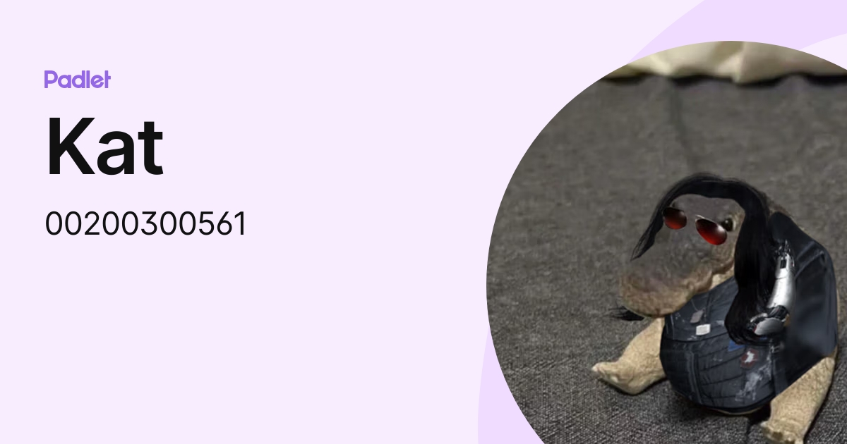 Kat (00200300561) profile | Padlet