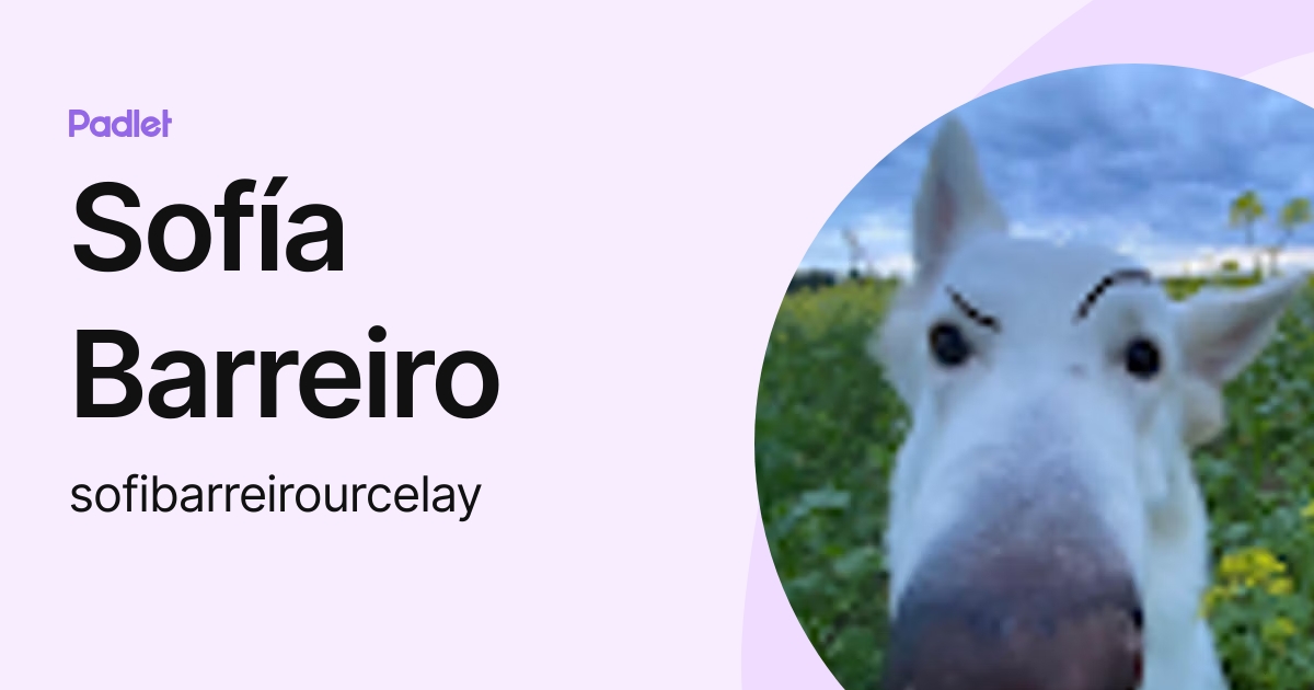 Sofía Barreiro (sofibarreirourcelay) profile | Padlet
