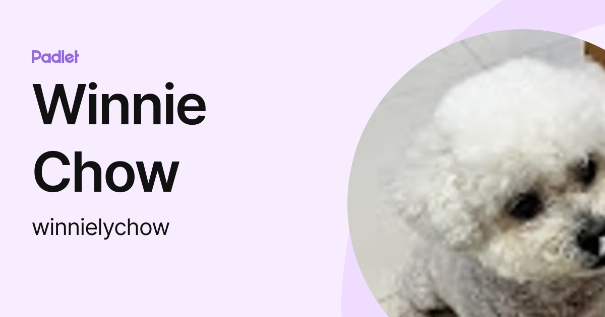 Winnie Chow (winnielychow) profile | Padlet