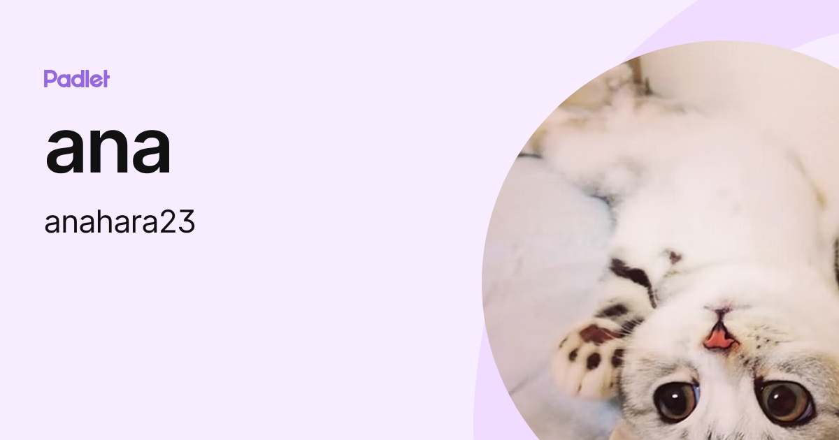 ana (anahara23) profile | Padlet