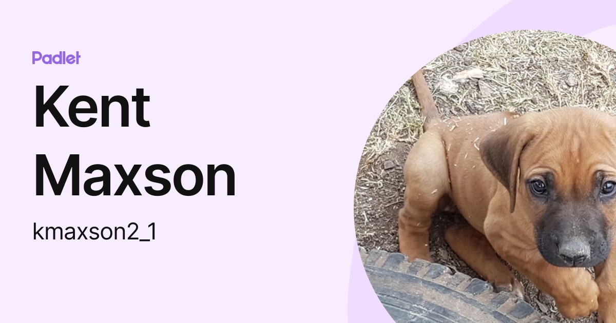 Kent Maxson (kmaxson1) profile | Padlet