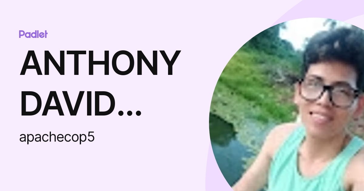 ANTHONY DAVID PACHECO PACHECO (apachecop5) profile | Padlet