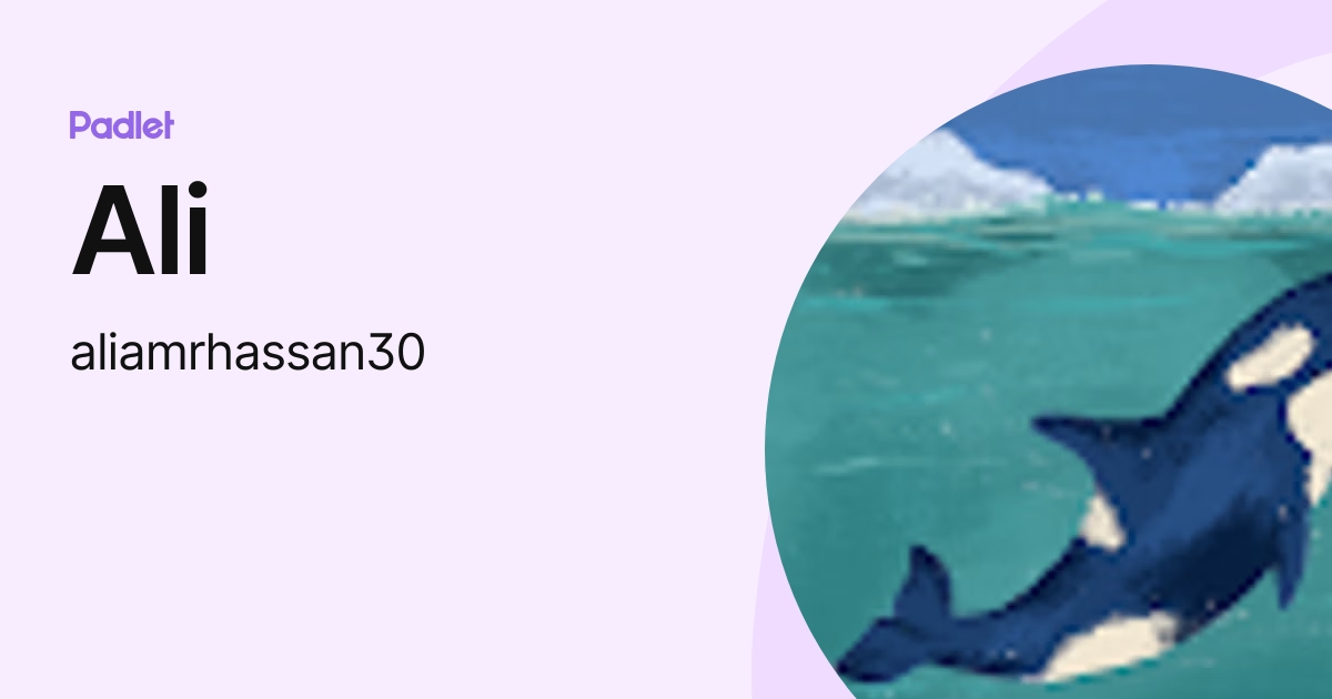 Ali Amr (aliamrhassan30) profile | Padlet