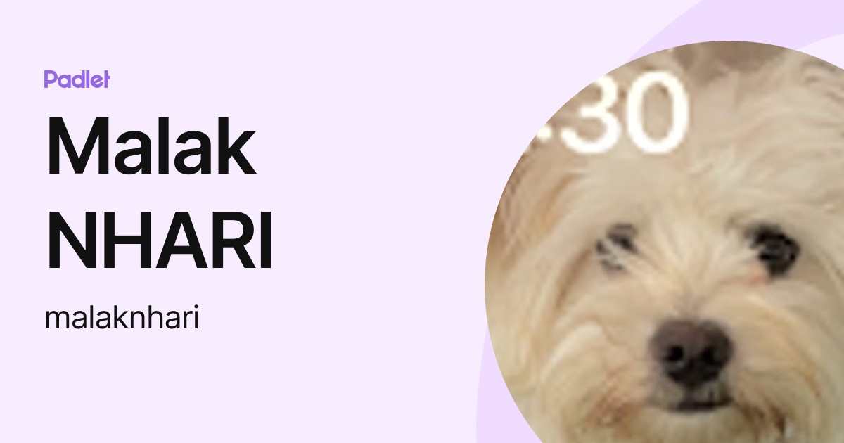 Malak NHARI (malaknhari) profile | Padlet