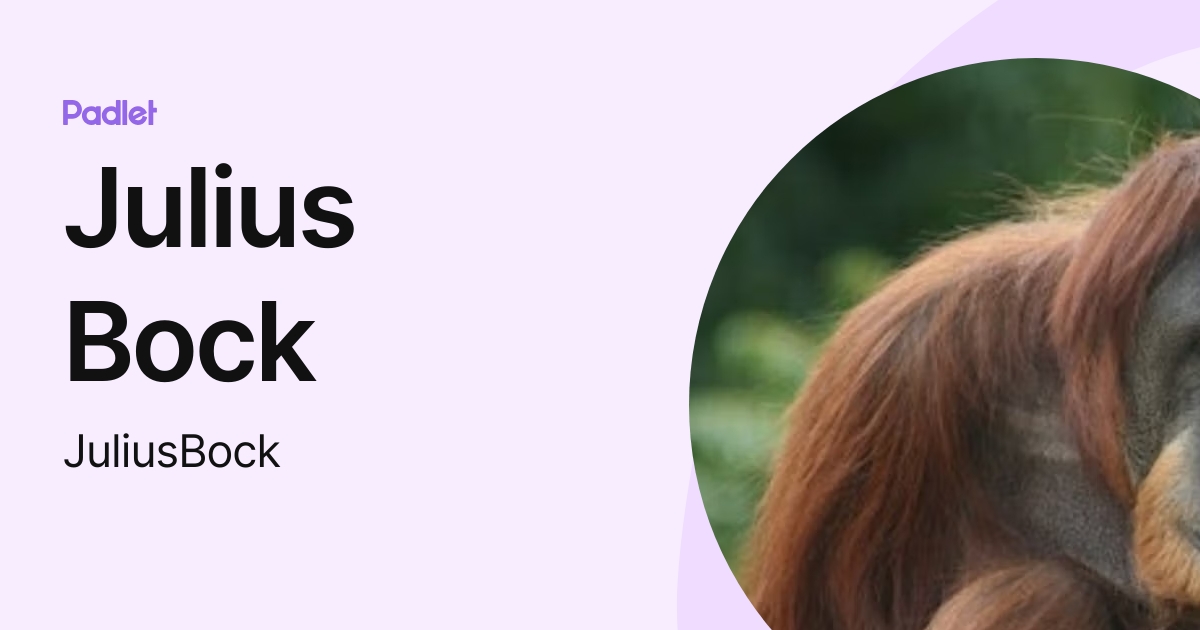 Julius Bock (JuliusBock) profile | Padlet