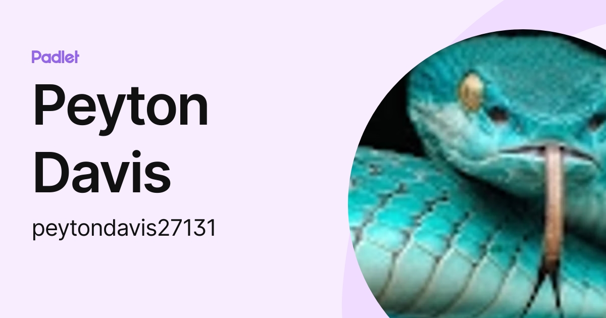 Peyton Davis (peytondavis27131) profile | Padlet