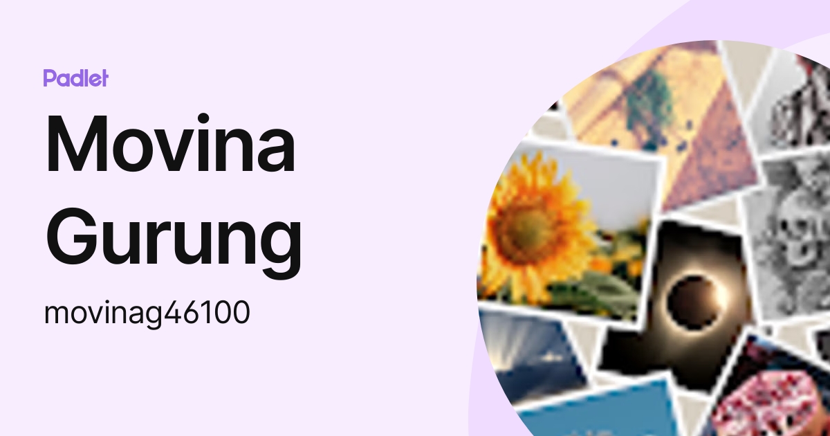 Movina Gurung (movinag46100) profile | Padlet
