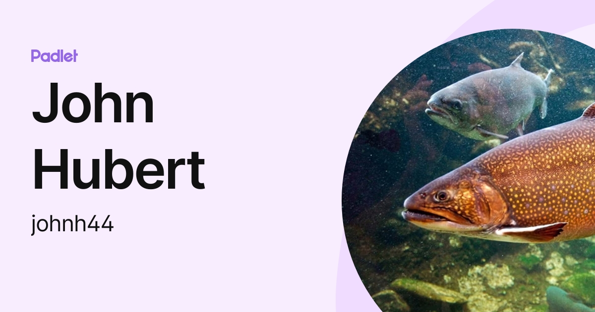 John Hubert (johnh44) profile | Padlet