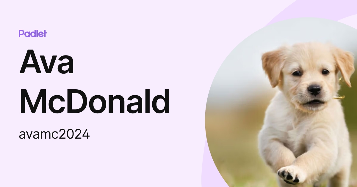 Ava McDonald (avamc2024) profile | Padlet
