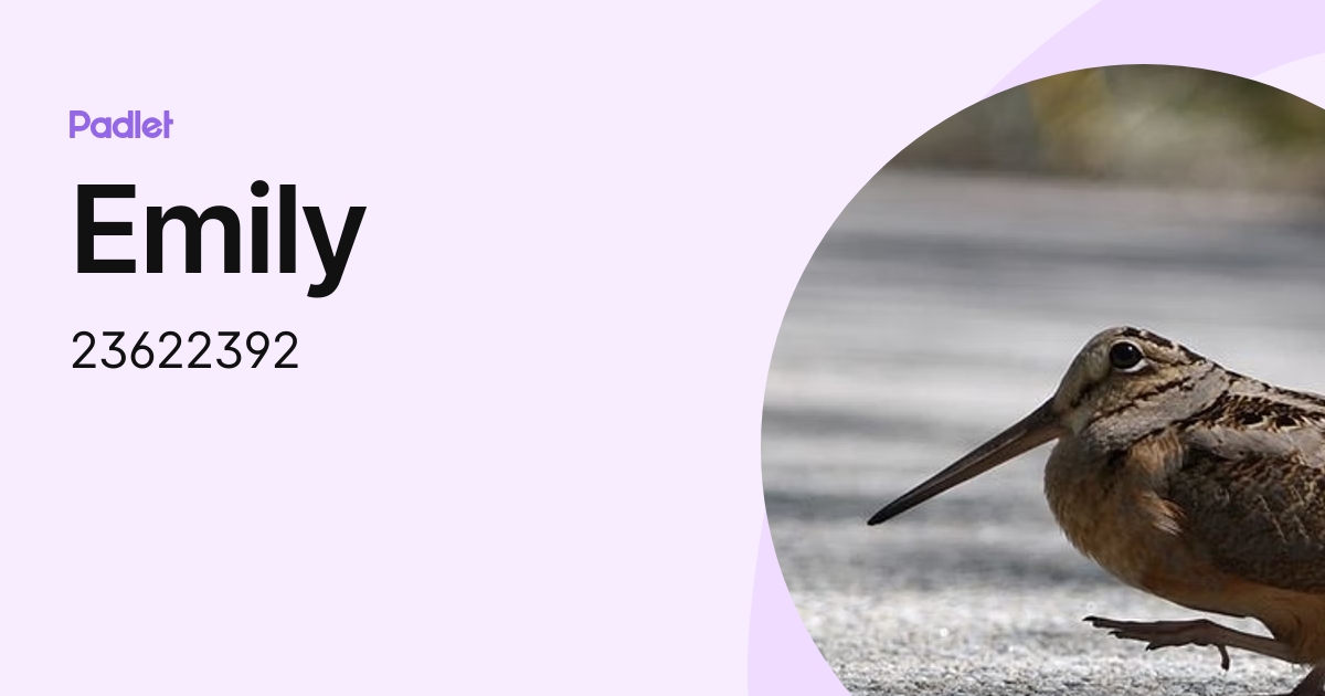 23622392 Profile Padlet