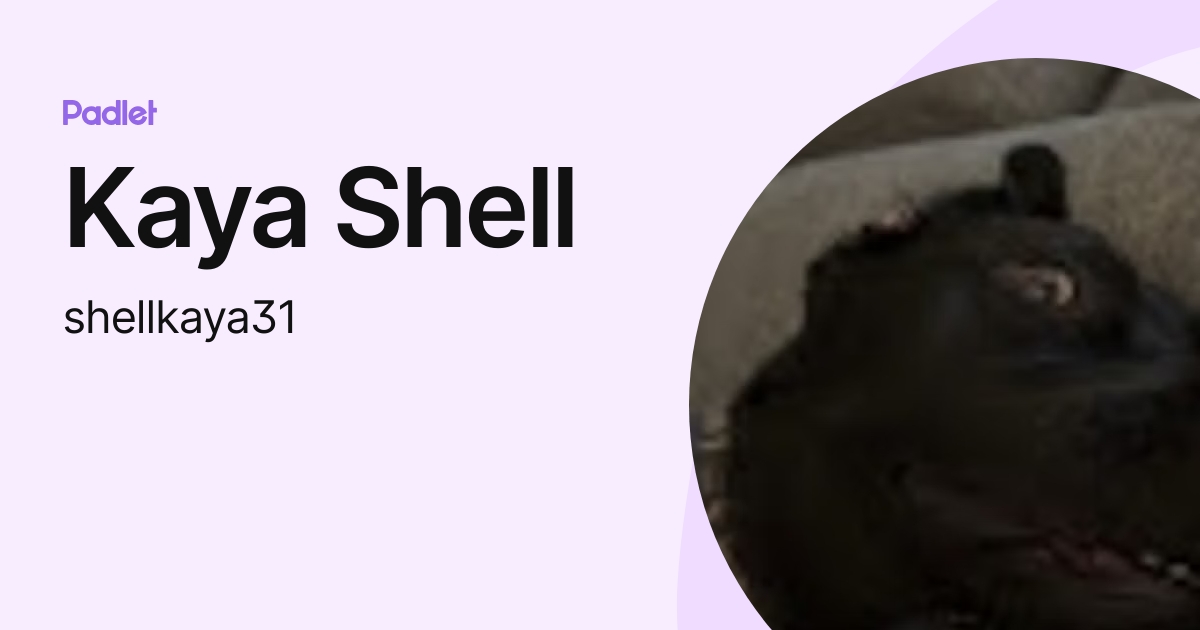 Kaya Shell (shellkaya31) profile | Padlet