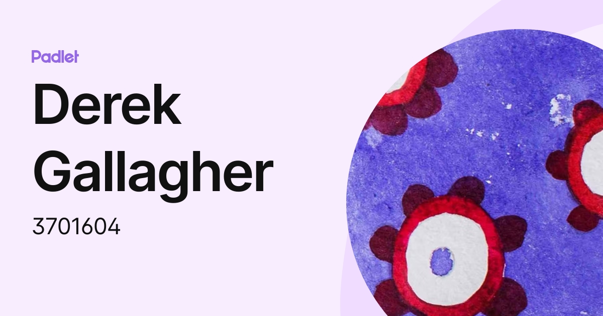 Derek Gallagher (3701604) profile | Padlet
