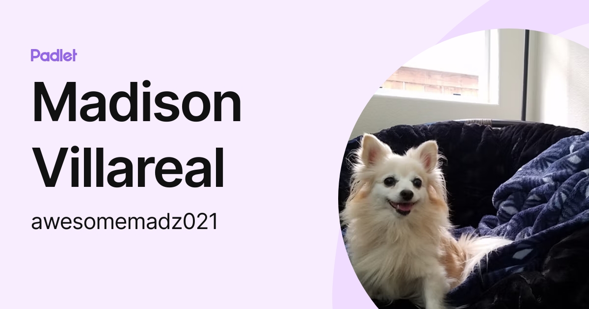 Madison Villareal (awesomemadz021) profile | Padlet