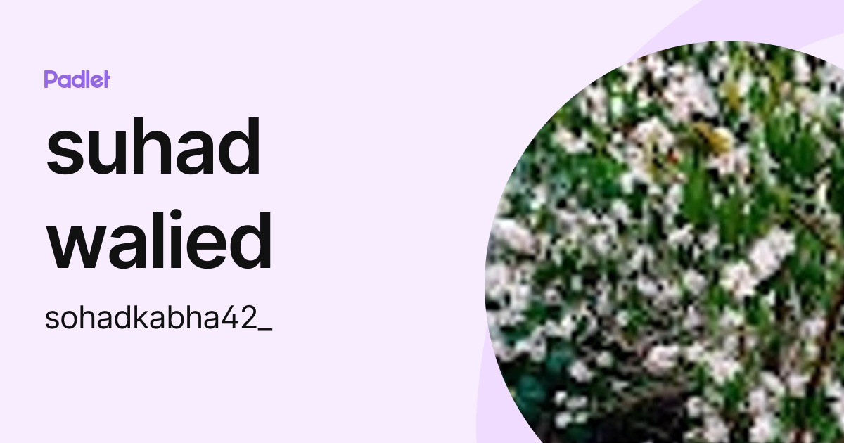 suhad walied (sohadkabha42_) profile | Padlet