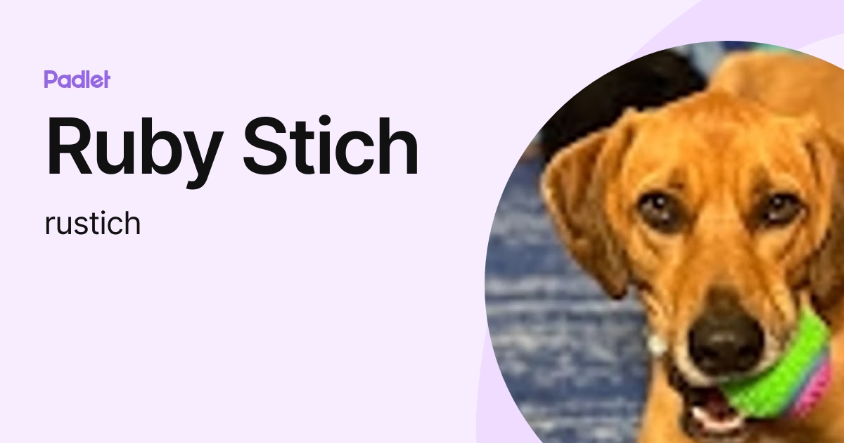 Ruby Stich (rustich) profile | Padlet