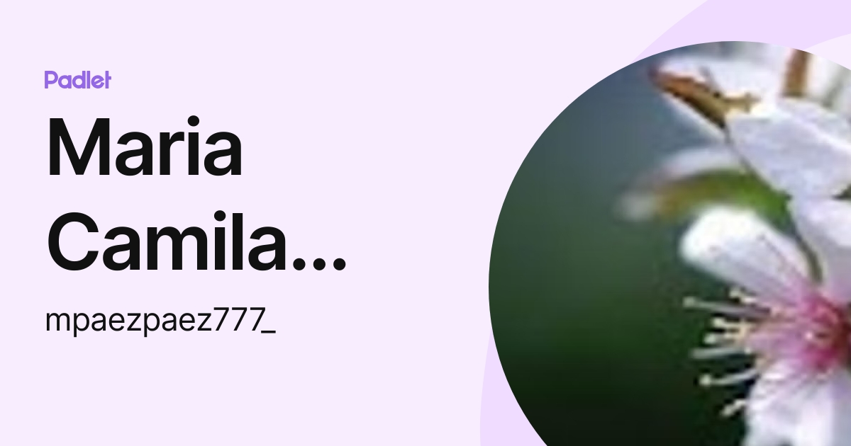 Maria Camila Paez (mpaezpaez777_) profile | Padlet