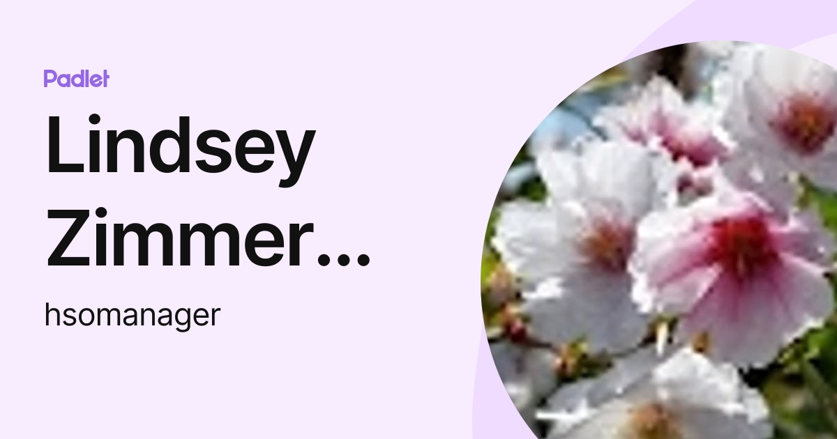 Lindsey Zimmerman (hsomanager) profile | Padlet