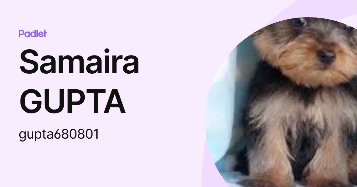 Samaira GUPTA (gupta68080) profile | Padlet