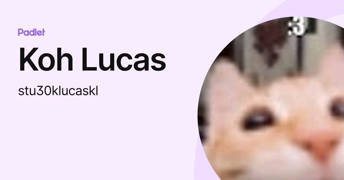 Koh Lucas (stu30klucaskl) profile | Padlet
