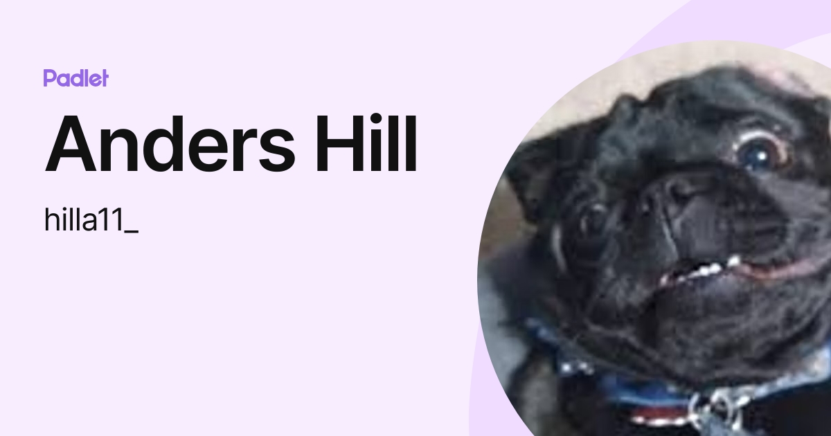 Anders Hill (hilla11_) profile | Padlet