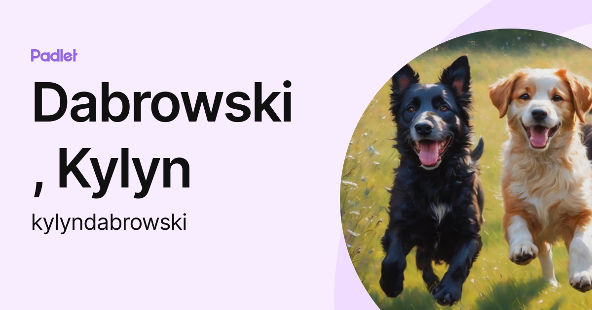 Dabrowski, Kylyn (kylyndabrowski) profile | Padlet