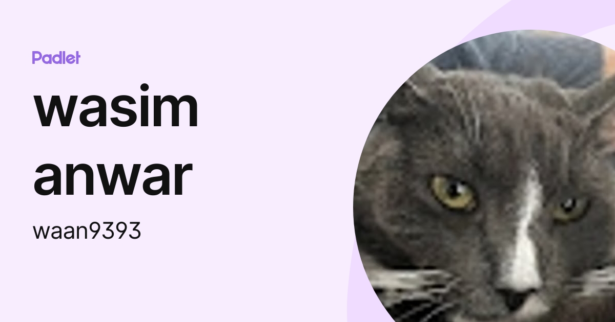 wasim anwar (waan9393) profile | Padlet