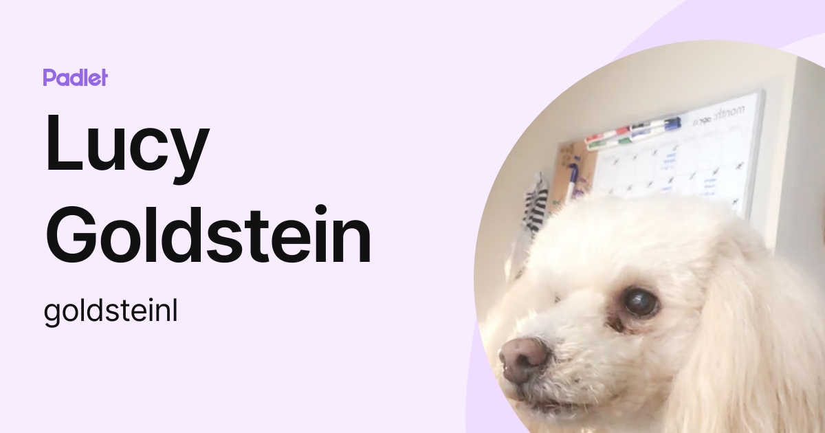 Lucy Goldstein (goldsteinl) profile | Padlet