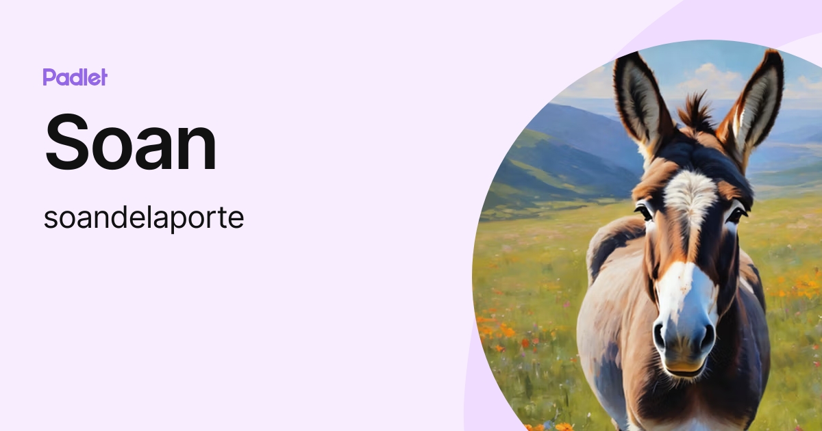 Soan (soandelaporte) profile | Padlet