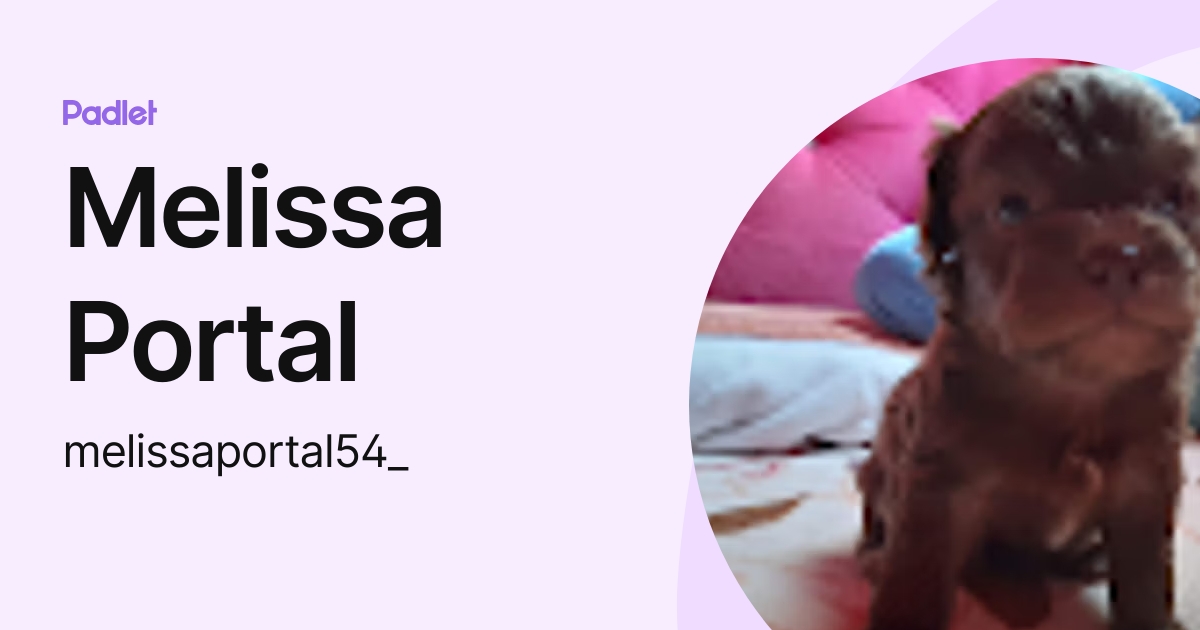 Melissa Portal (melissaportal54_) profile | Padlet