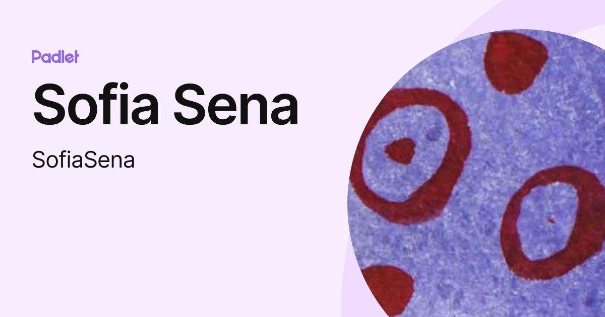 Sofia Sena Sofiasena Profile Padlet