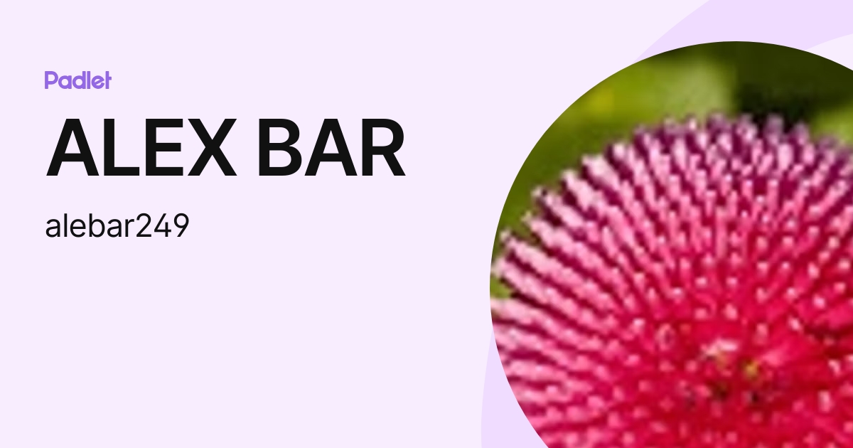 ALEX BAR (alebar249) profile | Padlet