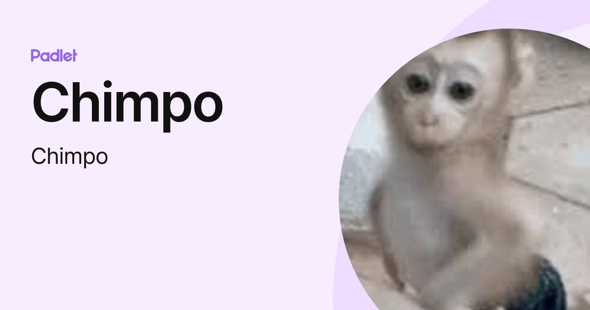 Chimpo (Chimpo) profile | Padlet