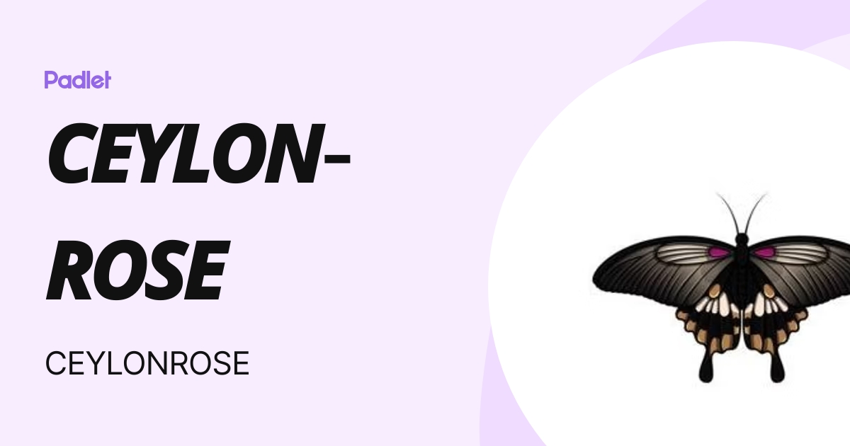 𝘾𝙀𝙔𝙇𝙊𝙉-𝙍𝙊𝙎𝙀 (CEYLONROSE) profile | Padlet
