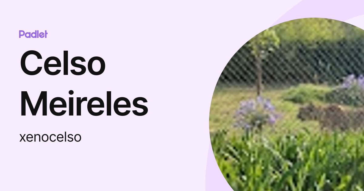 Celso Meireles (xenocelso) profile | Padlet