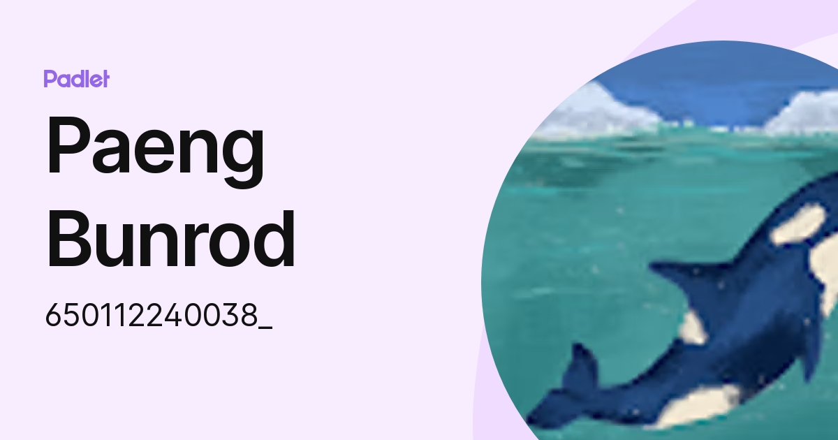 Paeng Bunrod (650112240038_) profile | Padlet