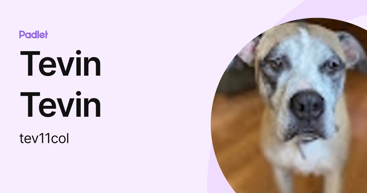 Tevin Tevin (tev11col) profile | Padlet