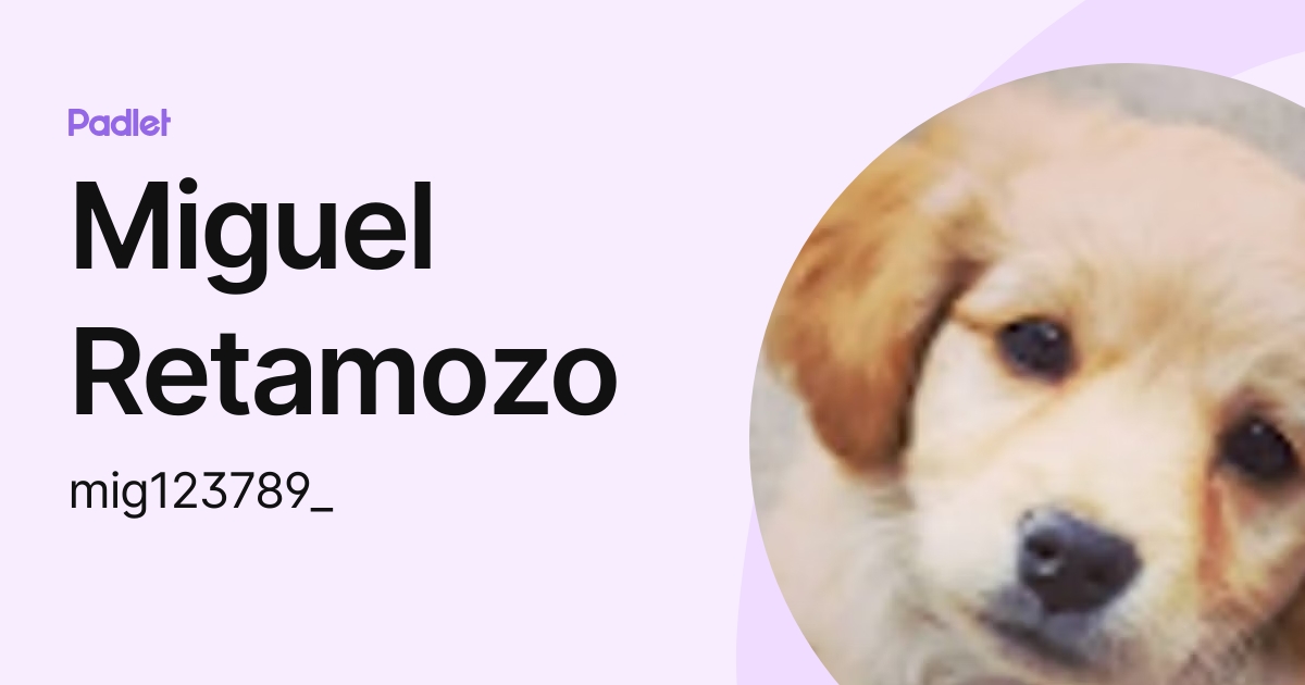 Miguel Retamozo (mig123789_) profile | Padlet