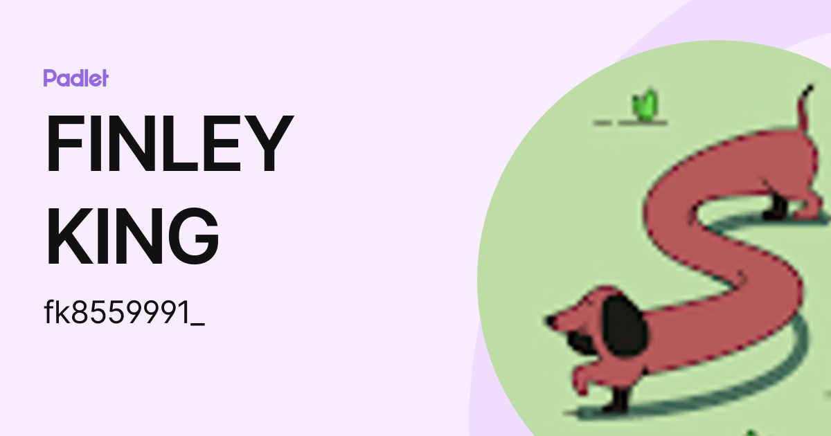 FINLEY KING (fk8559991_) profile | Padlet