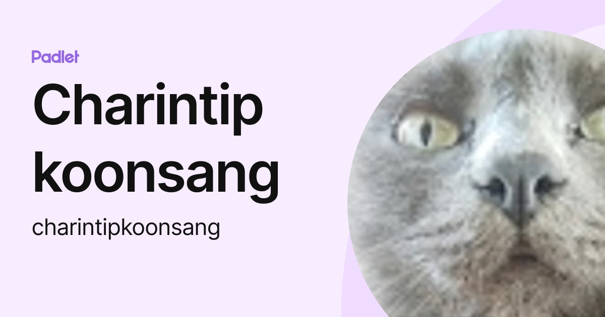 Charintip Koonsang Charintipkoonsang Profile Padlet