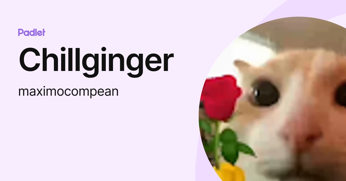 Chillginger (maximocompean) profile | Padlet