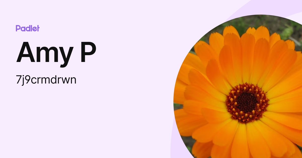 Amy P (7j9crmdrwn) profile | Padlet