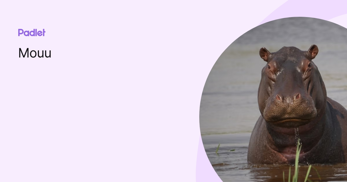Mouu profile | Padlet