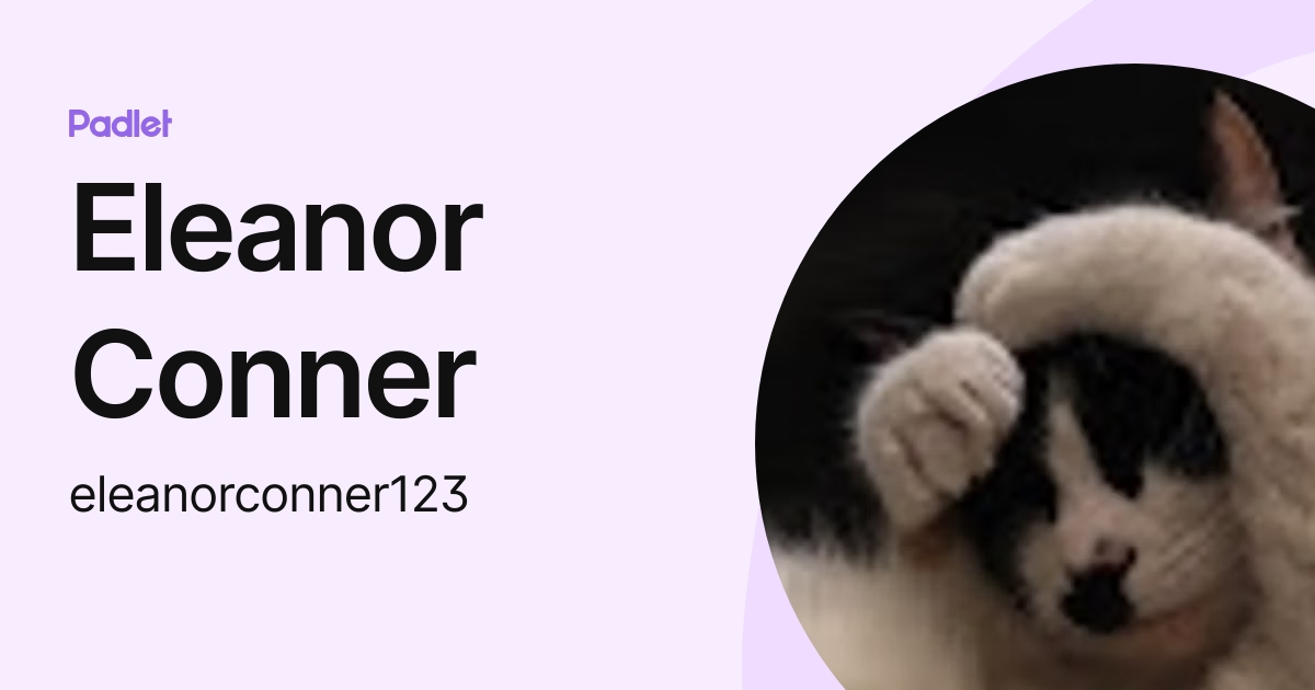 Eleanor Conner (eleanorconner123) profile | Padlet