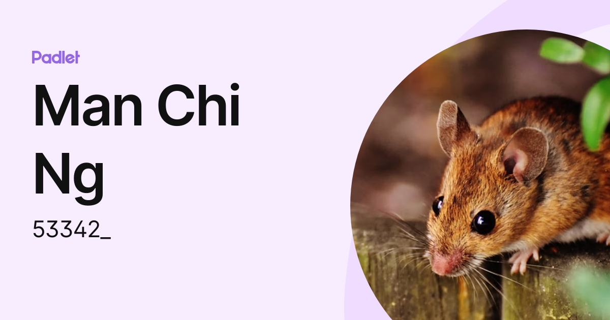 Man Chi Ng (53342_) profile | Padlet