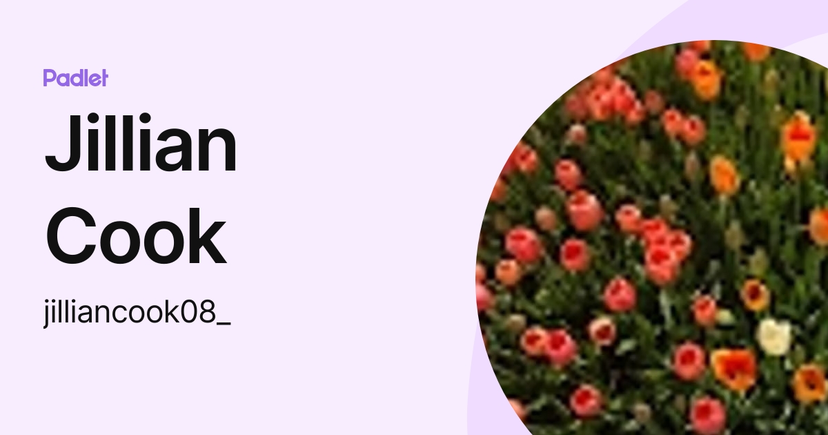 Jillian Cook (jilliancook08_) profile | Padlet