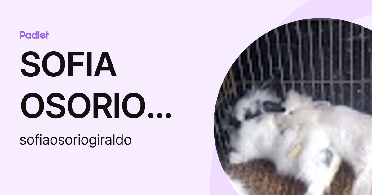 SOFIA OSORIO GIRALDO (sofiaosoriogiraldo) profile | Padlet